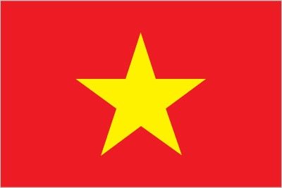 Vietnamese – The Tasty Wok